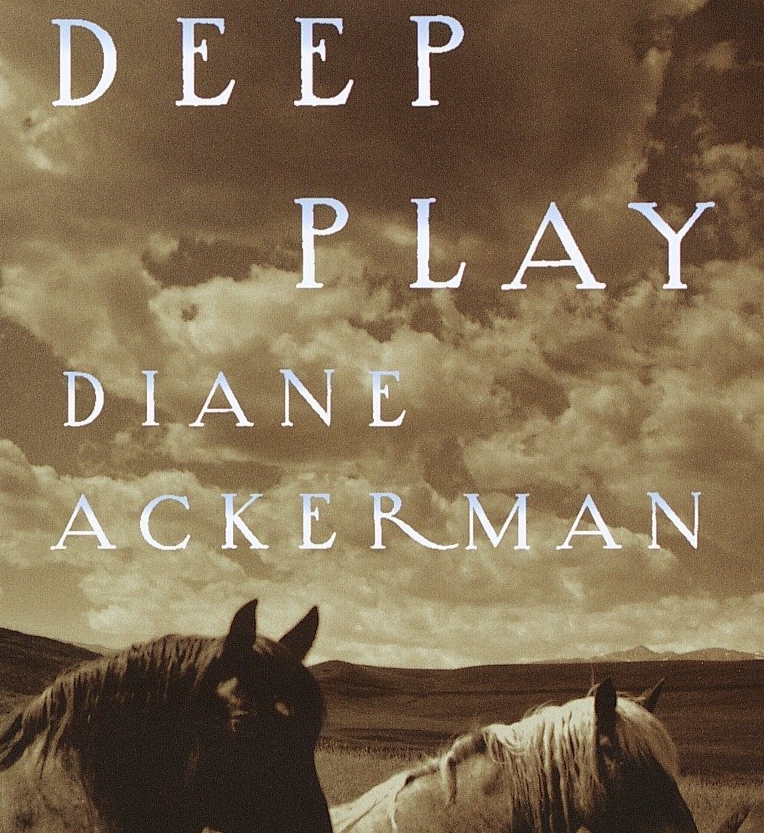 The Value of Deep Play and its Impact on Learning and the Imagination ...